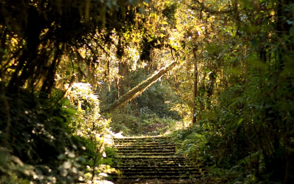 TENDONG HILL TREK - great trek in south sikkim 2024
